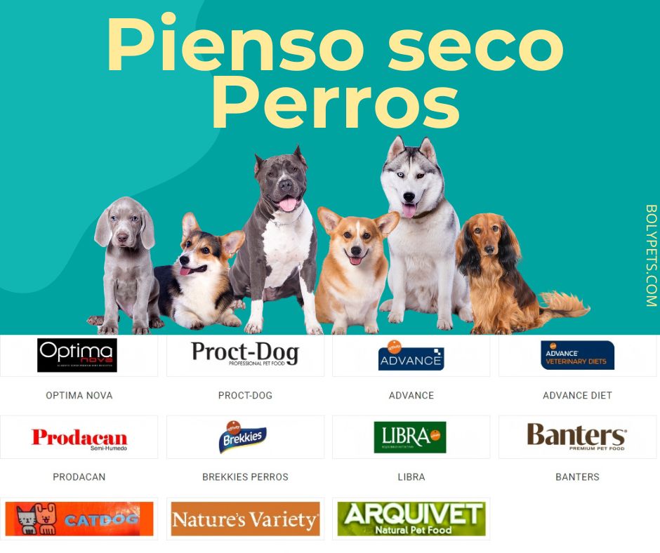 Pienso seco para Perros – Bolypets